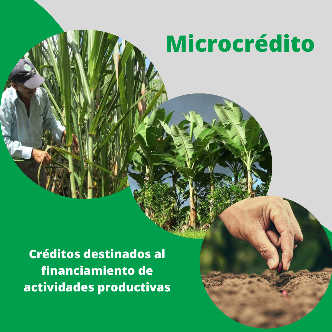 Microcrédito | Hermes Gaibor